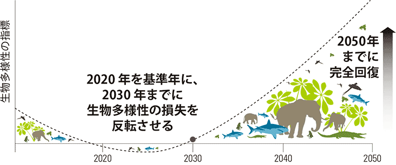 Living Planet Reportが示す生物多様性の今 WWFと考える～SDGsの実践～【11】：朝日新聞SDGs ACTION!
